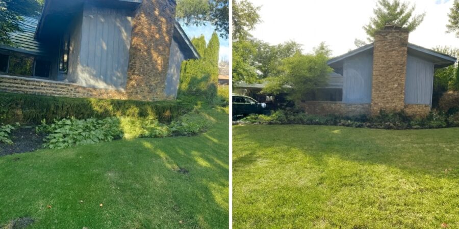 Finished Landscape Project: A Custom Garden Comes to Life in Glenview ...