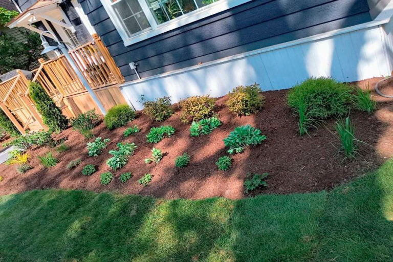 Planting-Bed Landscape Installation in Winnetka - Tommy Pollina ...